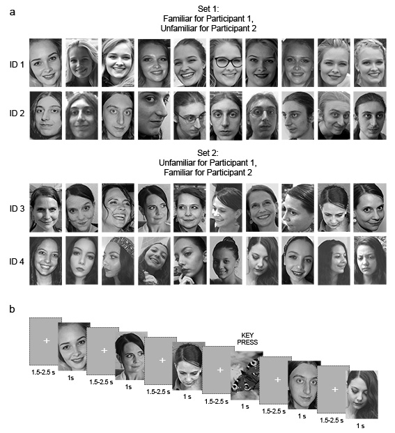 Recognition of familiar faces – WIESE LAB